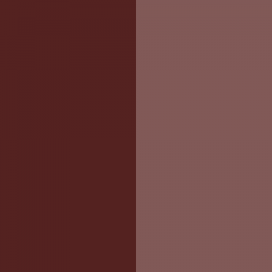 GA-7249 Hydrophilic Red Iron Oxide – Color Techniques Inc.